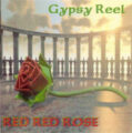 Gypsy Reel – A Celt Band That Rocks
